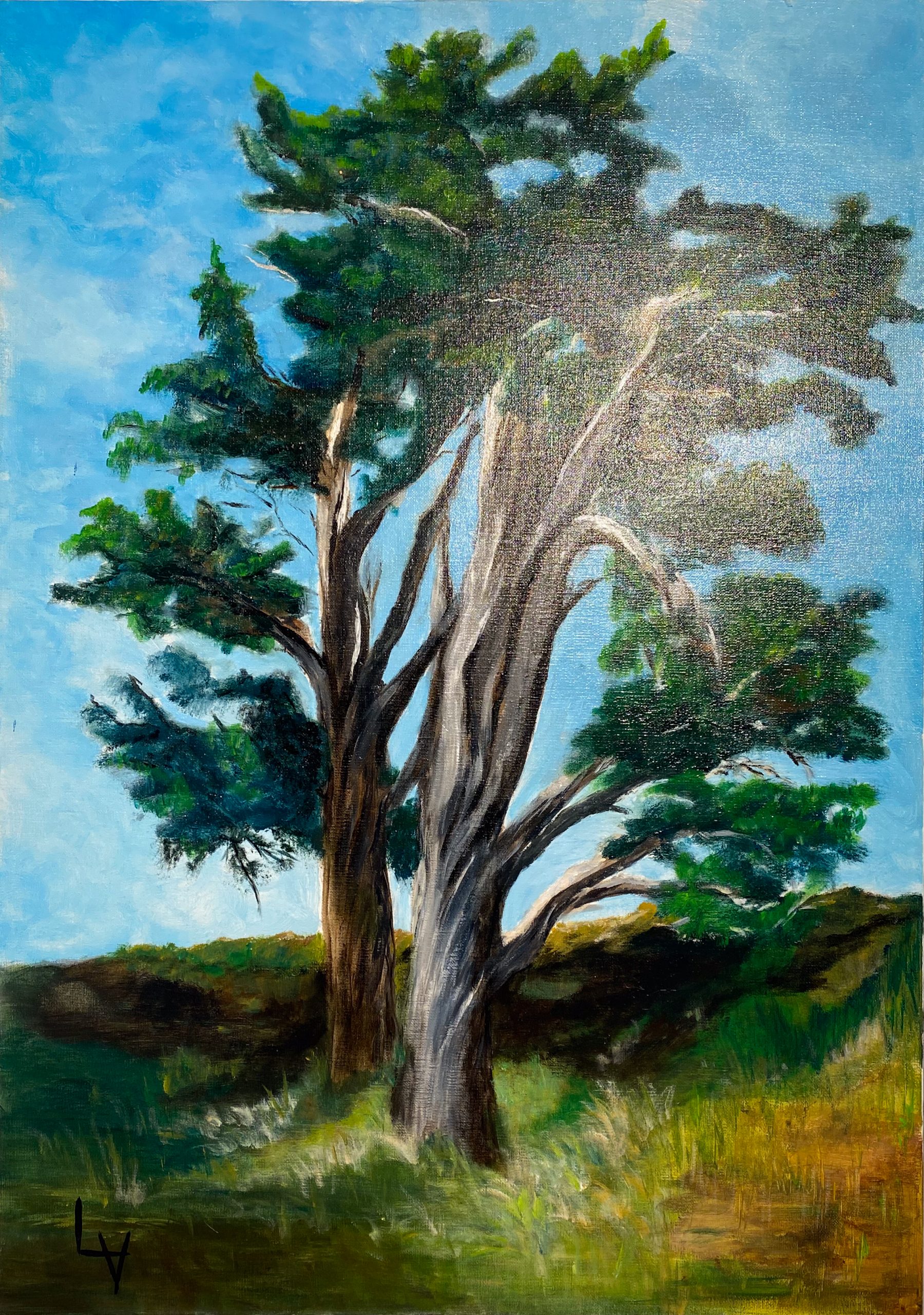 A L Ombre Des Pins La Galerie De Laurence Vauclin